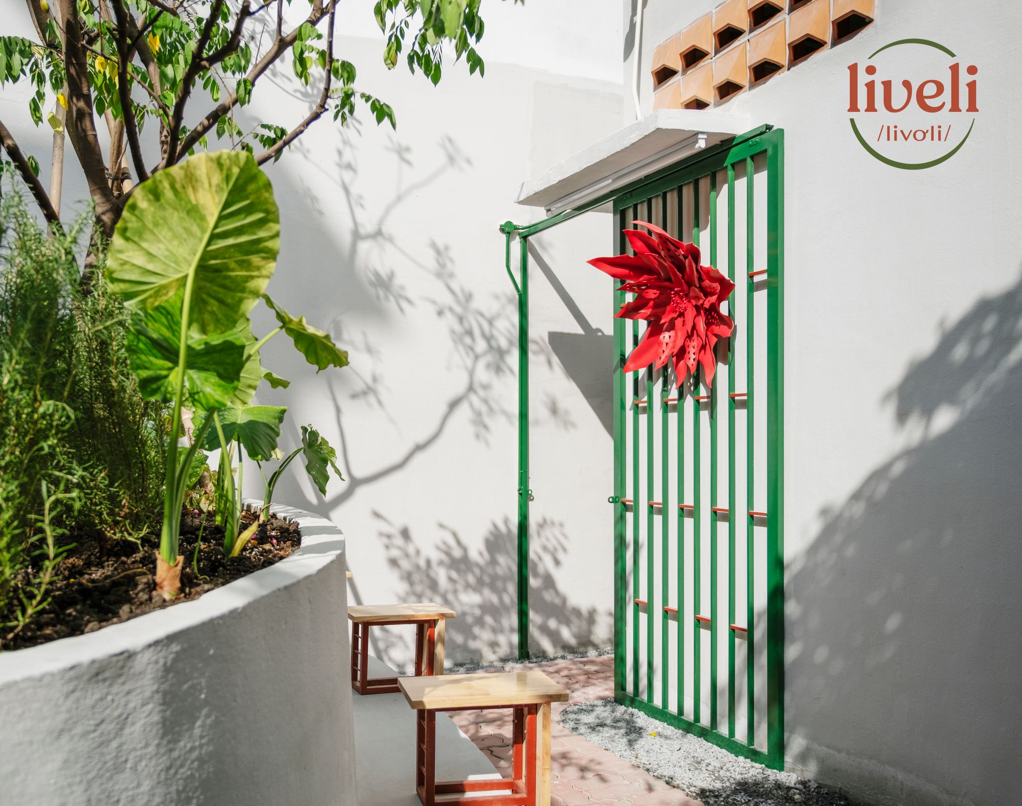 Liveli – Trạm dừng chân xanh mát